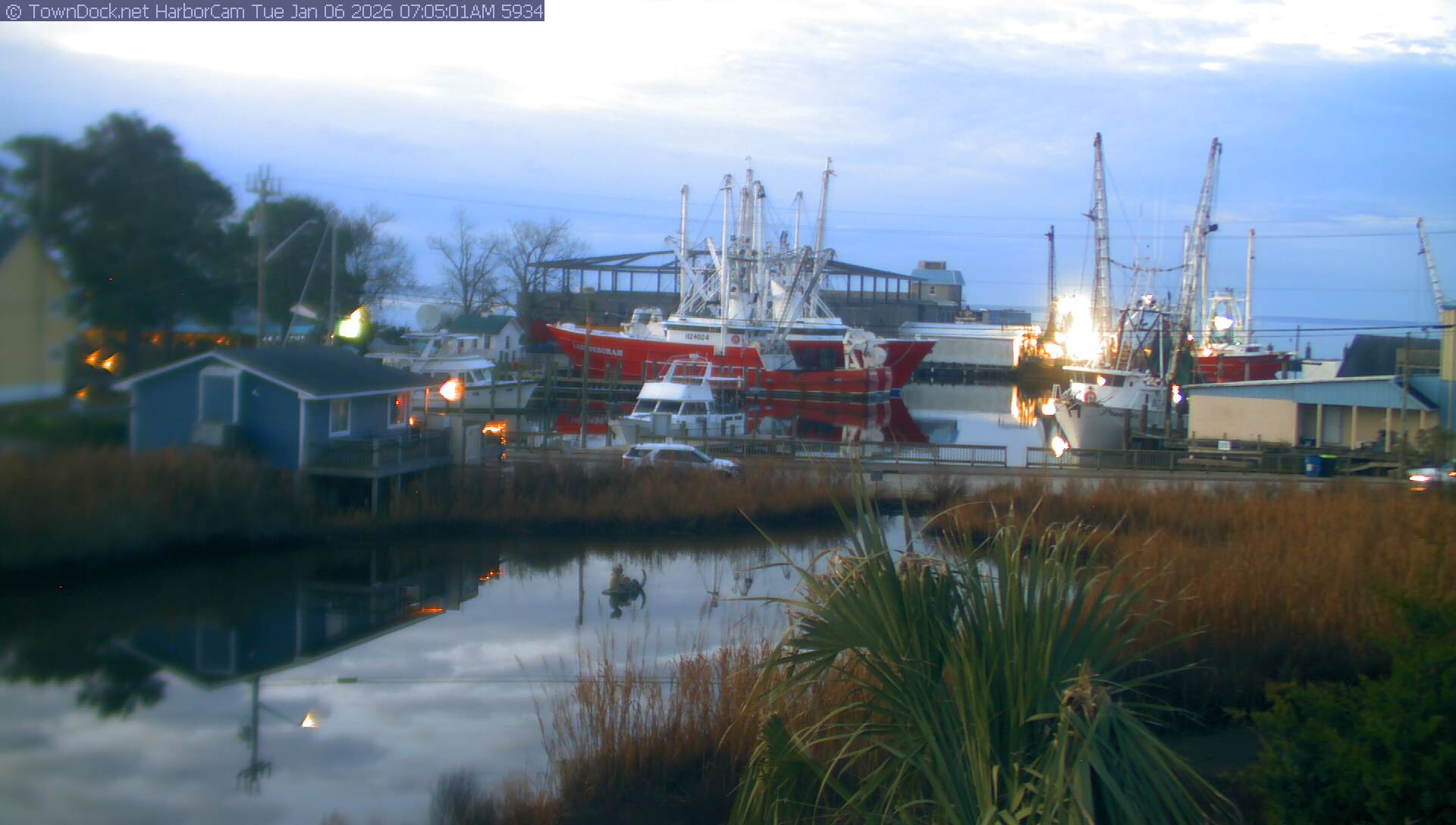 HarborCam, Oriental NC Harbor Web Cam | TownDock.net