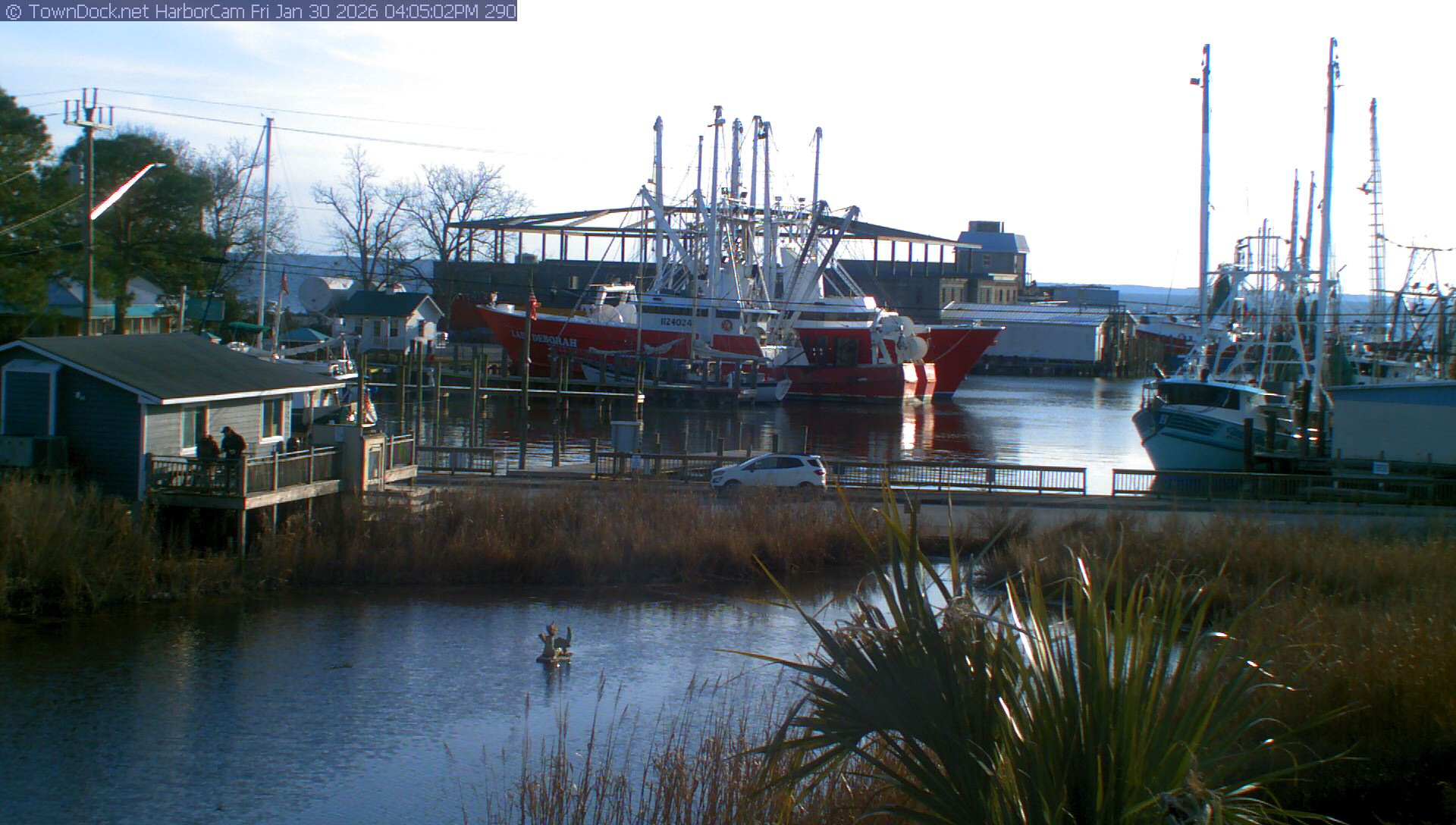 HarborCam, Oriental NC Harbor Web Cam | TownDock.net