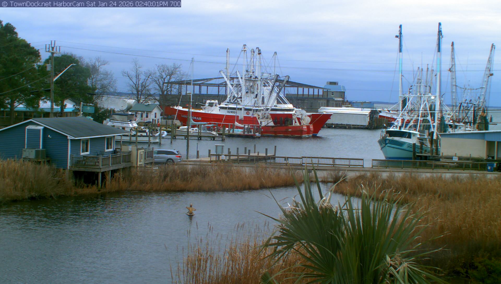 HarborCam, Oriental NC Harbor Web Cam | TownDock.net