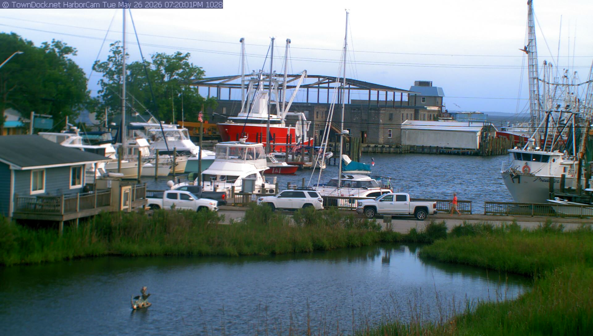 HarborCam, Oriental NC Harbor Web Cam | TownDock.net