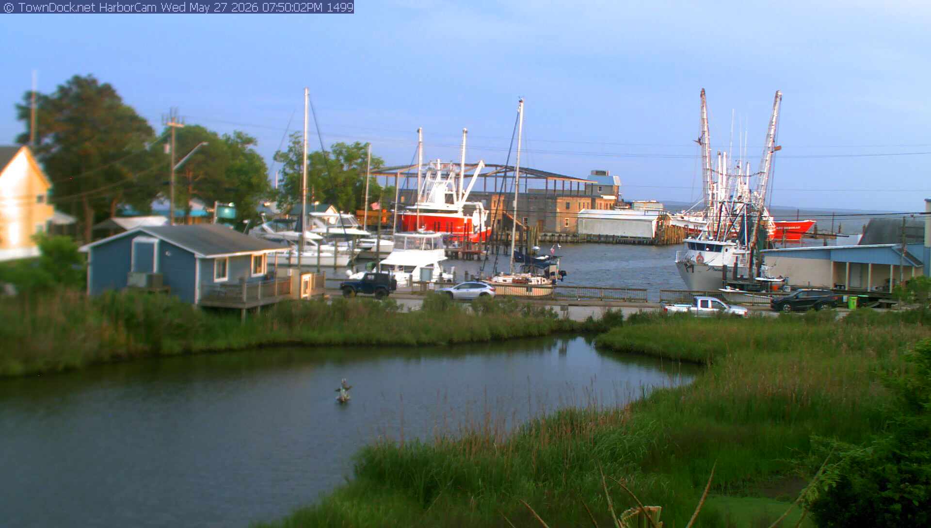 HarborCam, Oriental NC Harbor Web Cam | TownDock.net