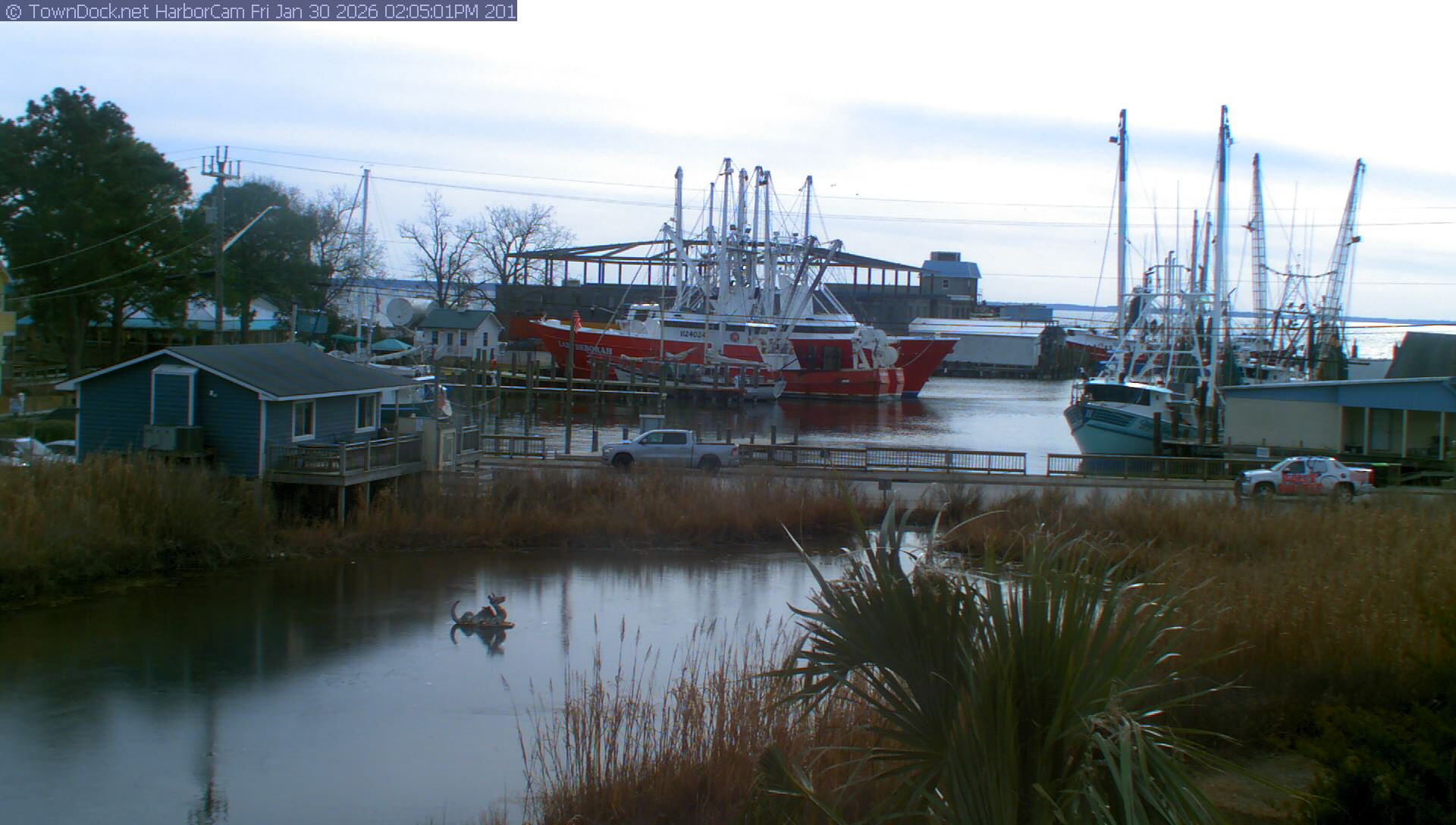 HarborCam, Oriental NC Harbor Web Cam | TownDock.net