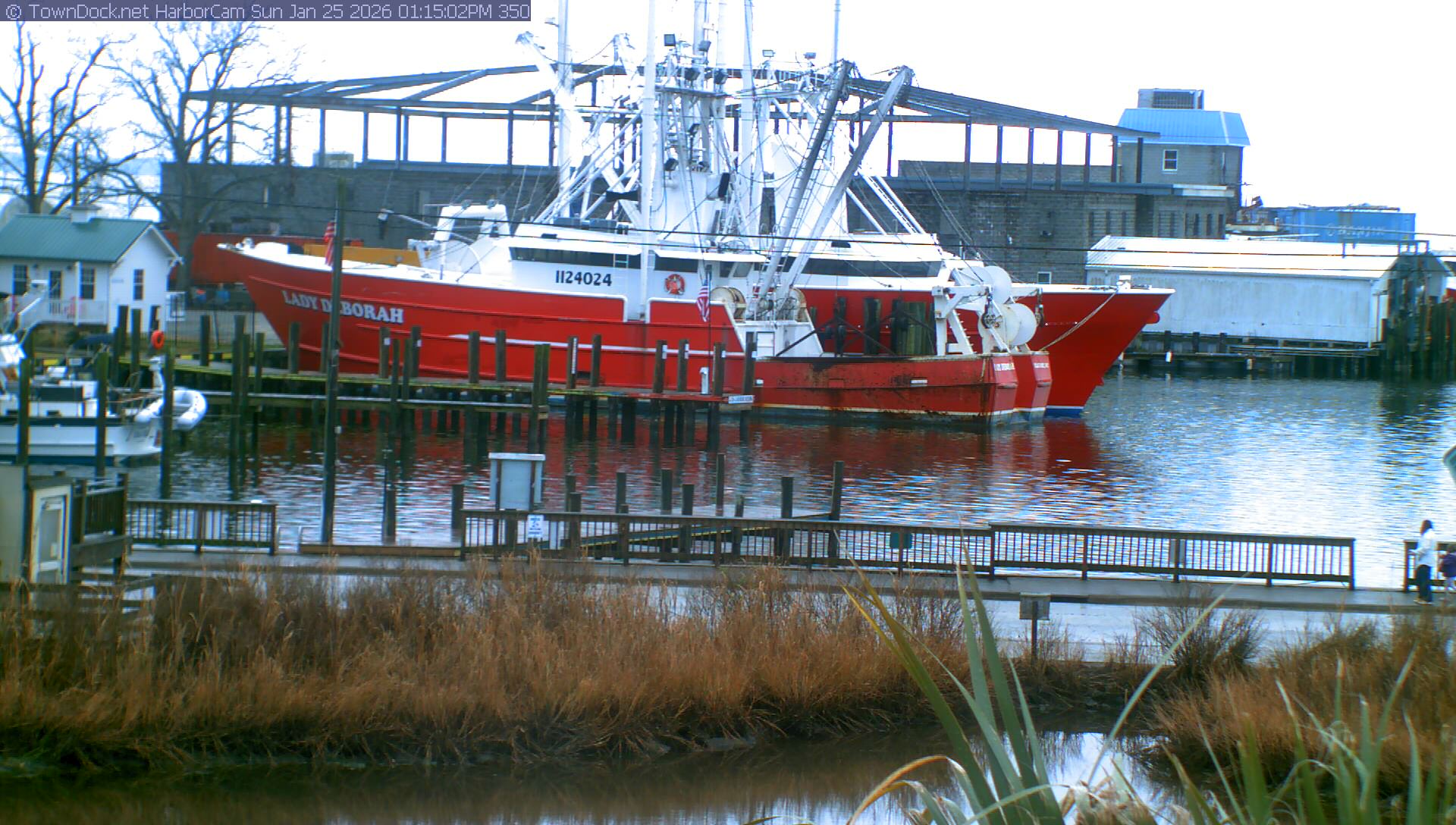 HarborCam, Oriental NC Harbor Web Cam | TownDock.net