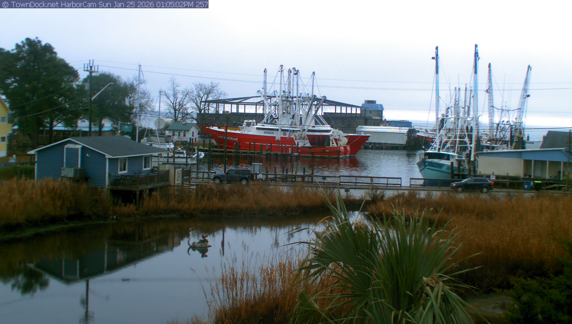 HarborCam, Oriental NC Harbor Web Cam | TownDock.net