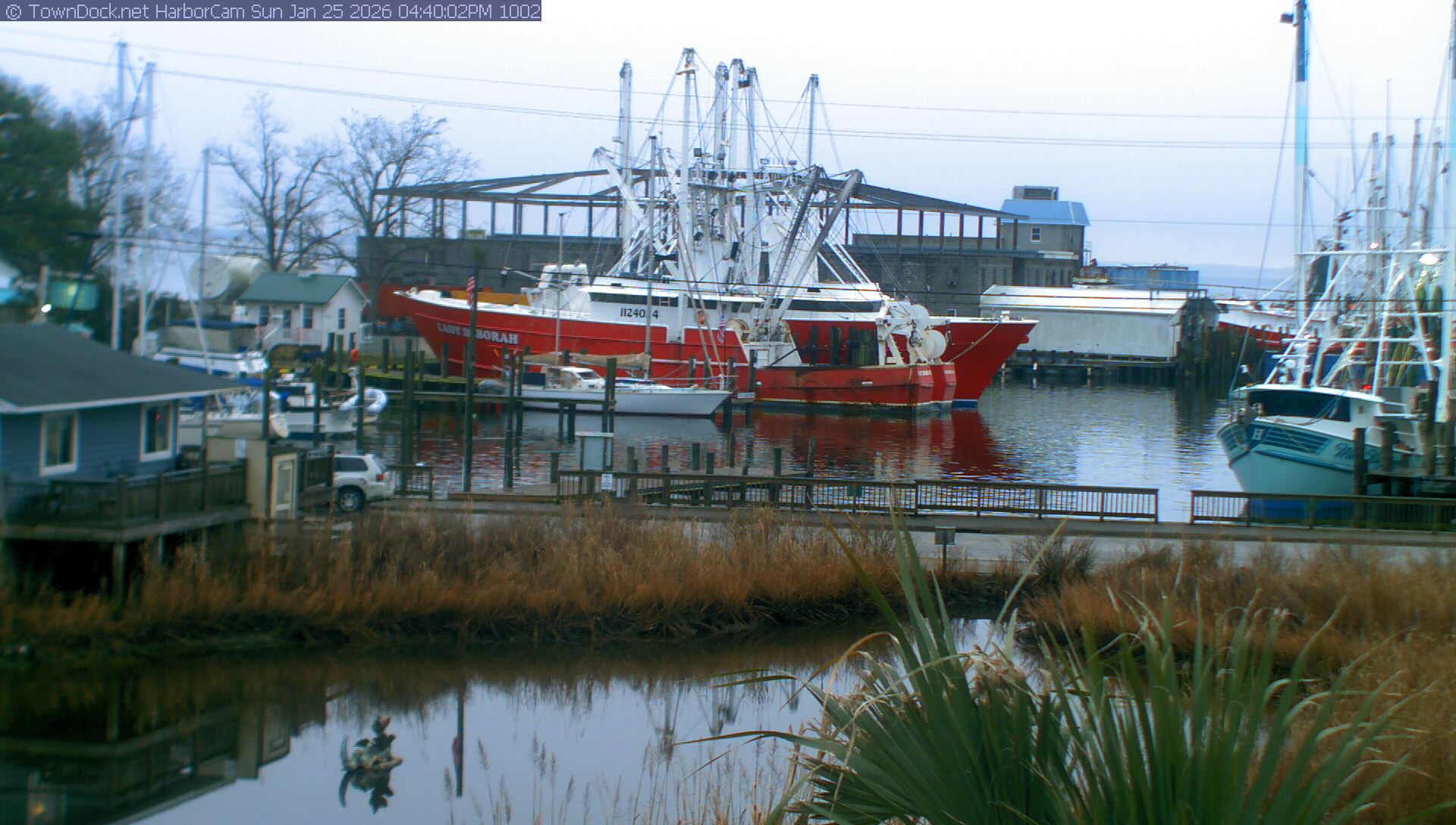 HarborCam, Oriental NC Harbor Web Cam | TownDock.net
