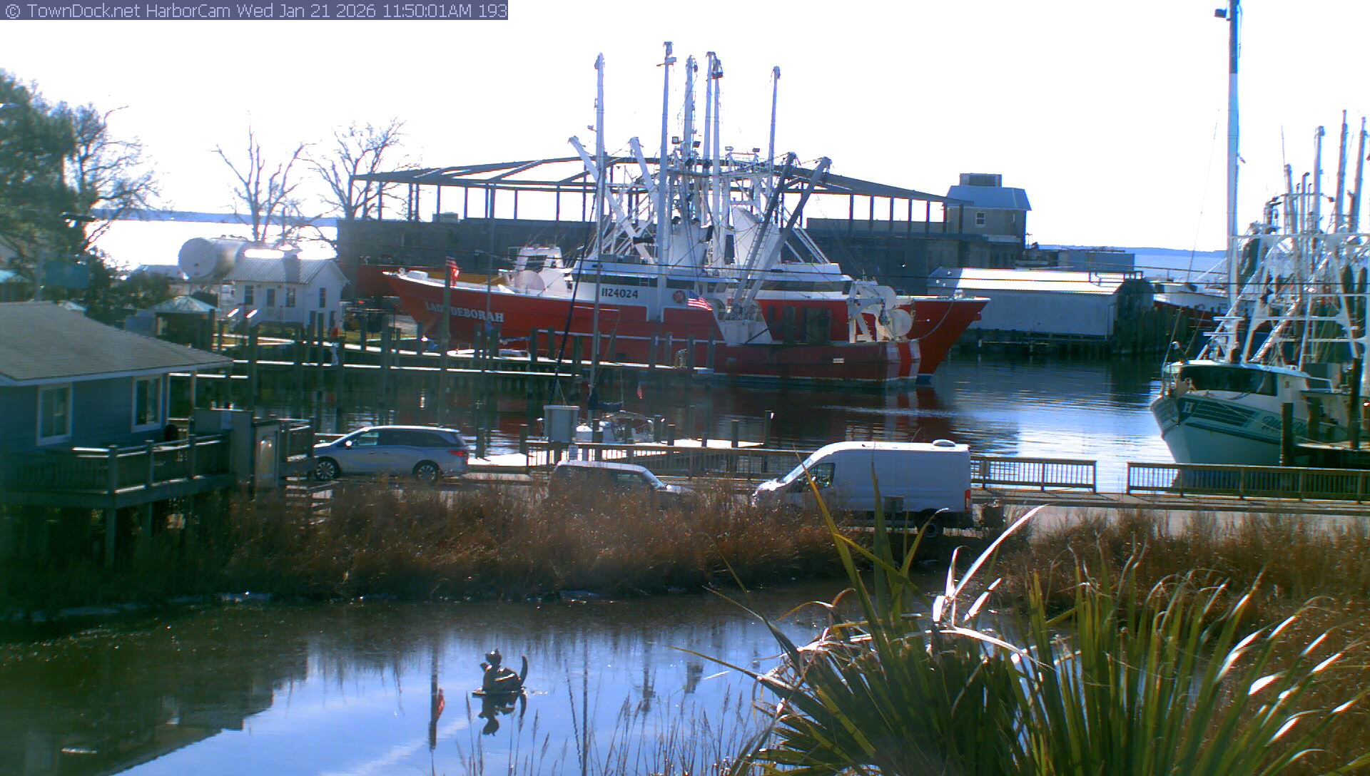 HarborCam, Oriental NC Harbor Web Cam | TownDock.net
