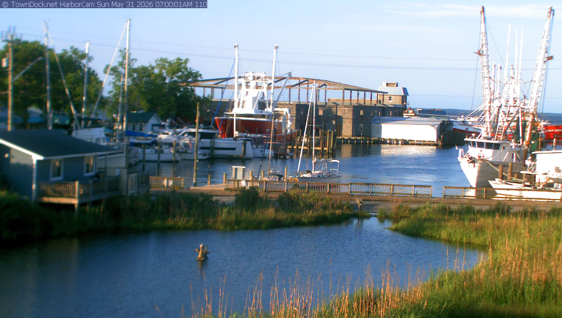 HarborCam, Oriental NC Harbor Web Cam | TownDock.net