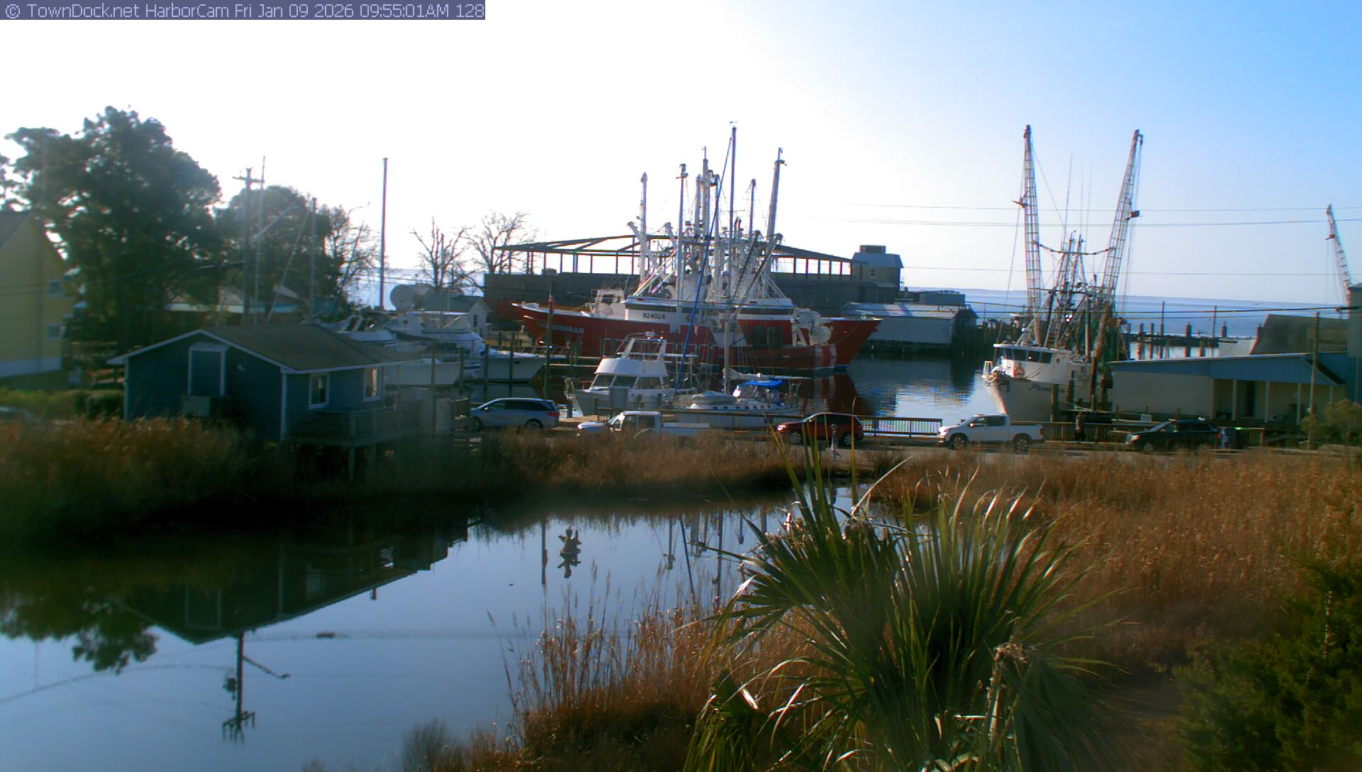 HarborCam, Oriental NC Harbor Web Cam | TownDock.net