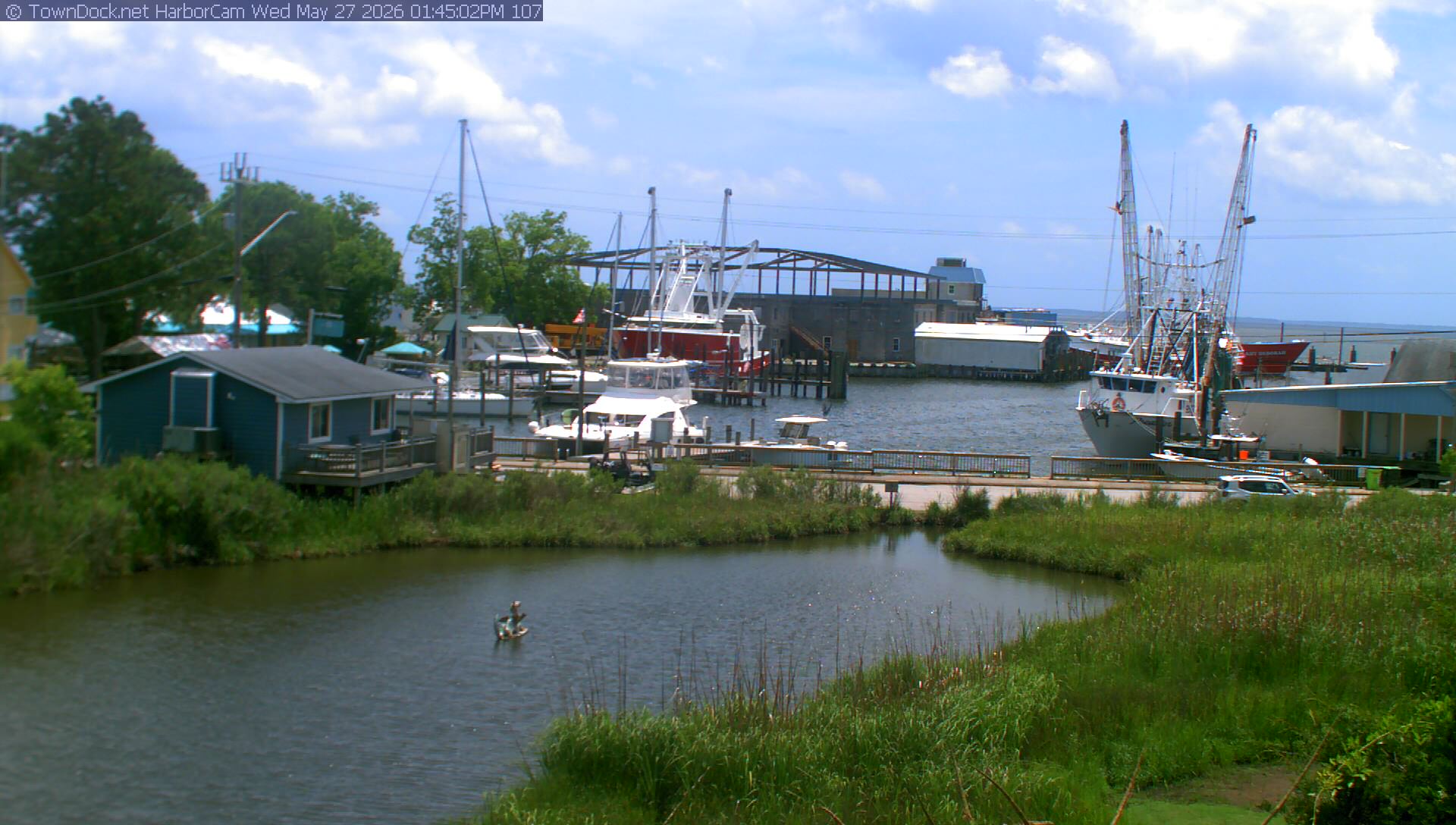 HarborCam, Oriental NC Harbor Web Cam | TownDock.net