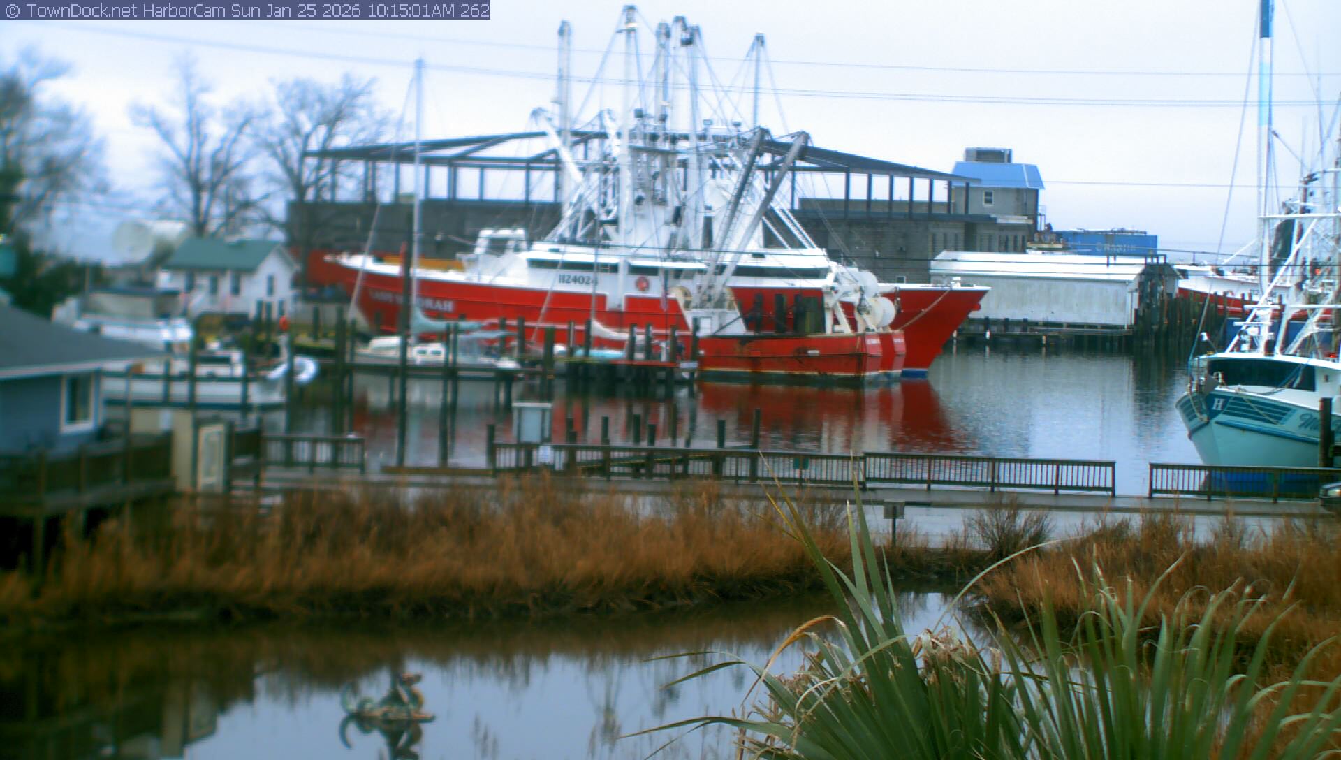 HarborCam, Oriental NC Harbor Web Cam | TownDock.net