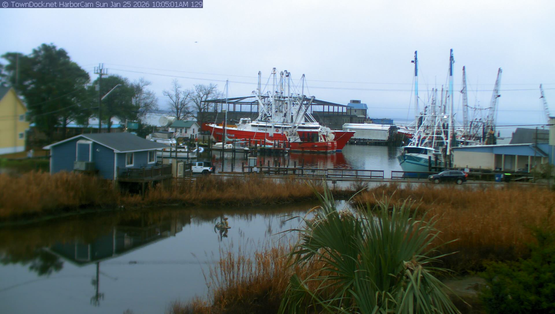 HarborCam, Oriental NC Harbor Web Cam | TownDock.net