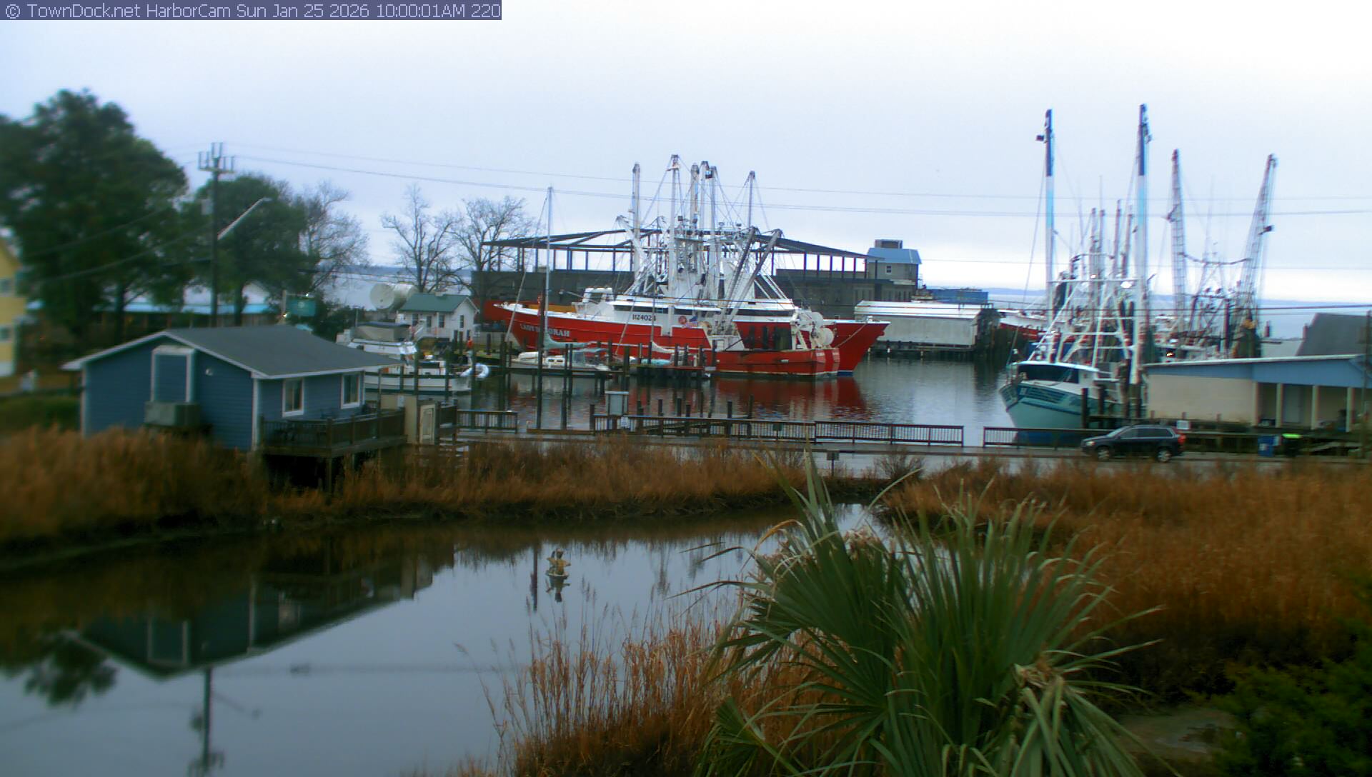 HarborCam, Oriental NC Harbor Web Cam | TownDock.net