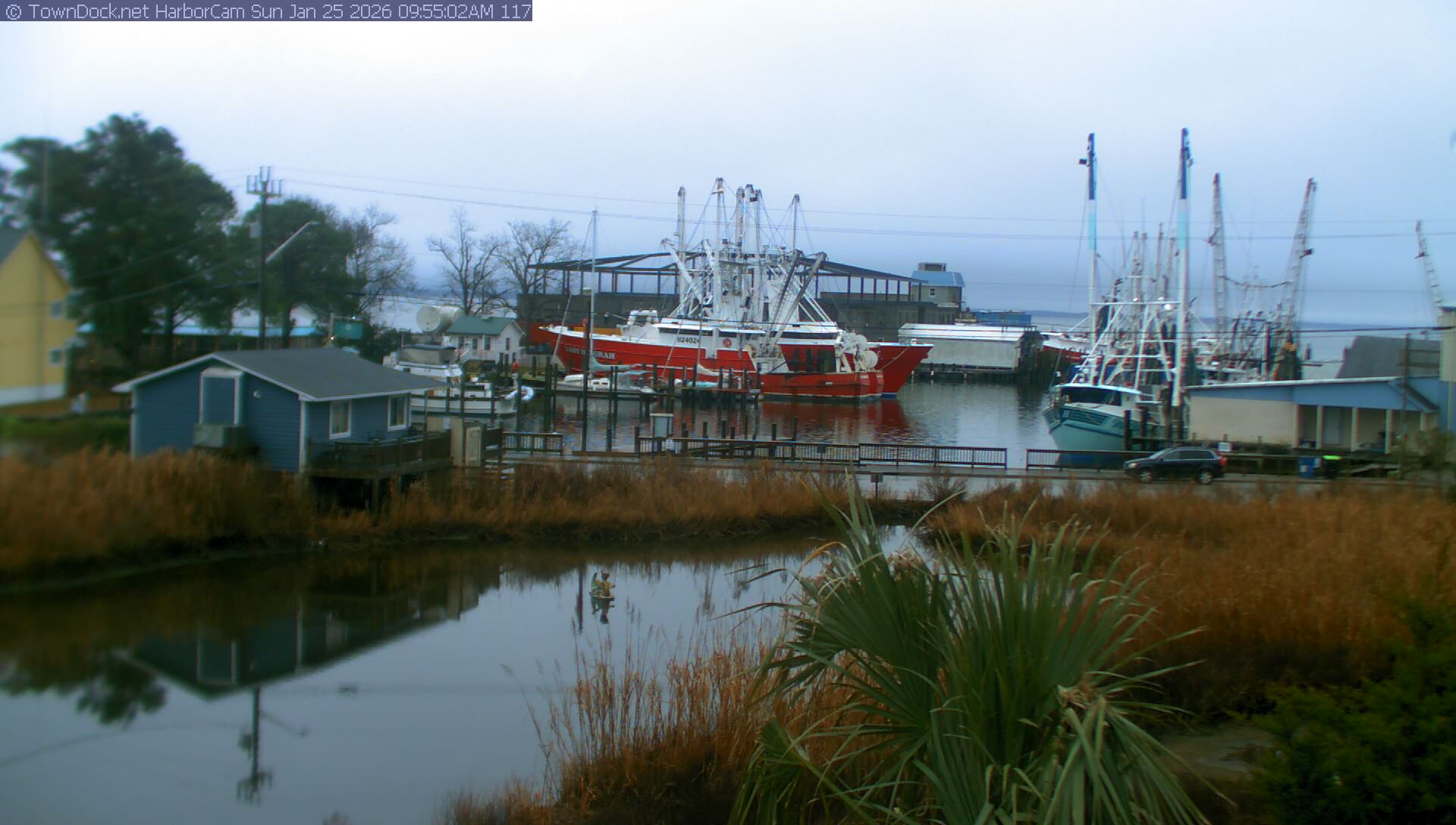 HarborCam, Oriental NC Harbor Web Cam | TownDock.net