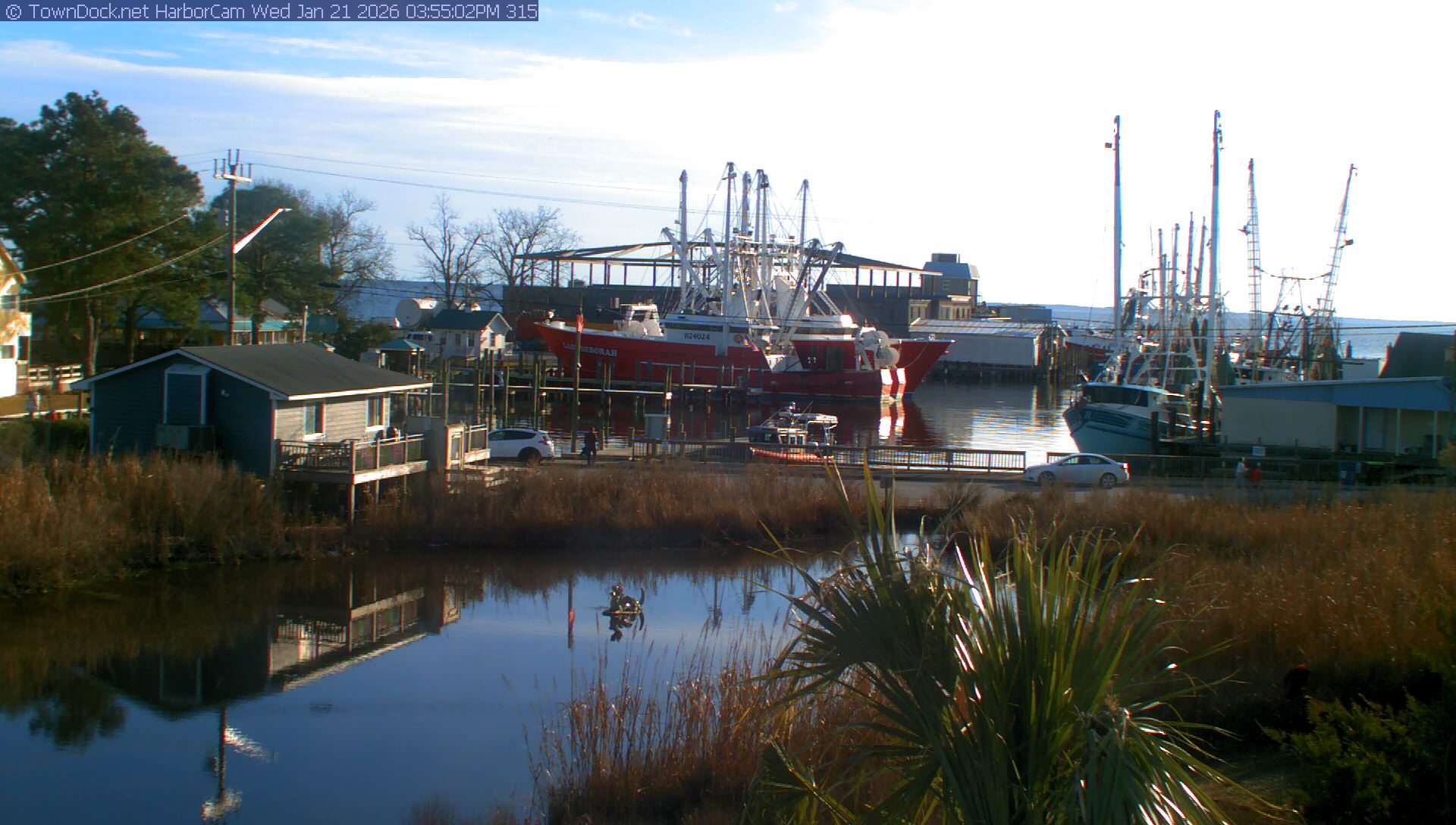 HarborCam, Oriental NC Harbor Web Cam | TownDock.net