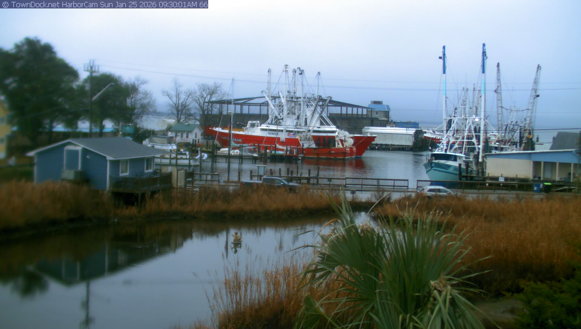 HarborCam, Oriental NC Harbor Web Cam | TownDock.net