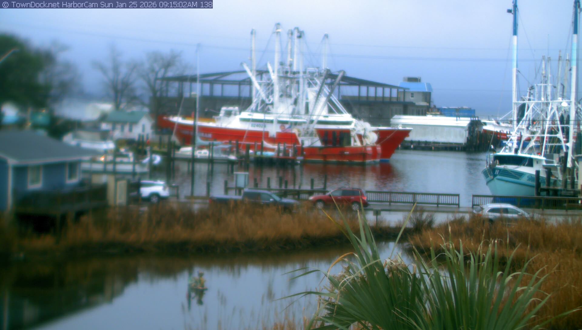 HarborCam, Oriental NC Harbor Web Cam | TownDock.net